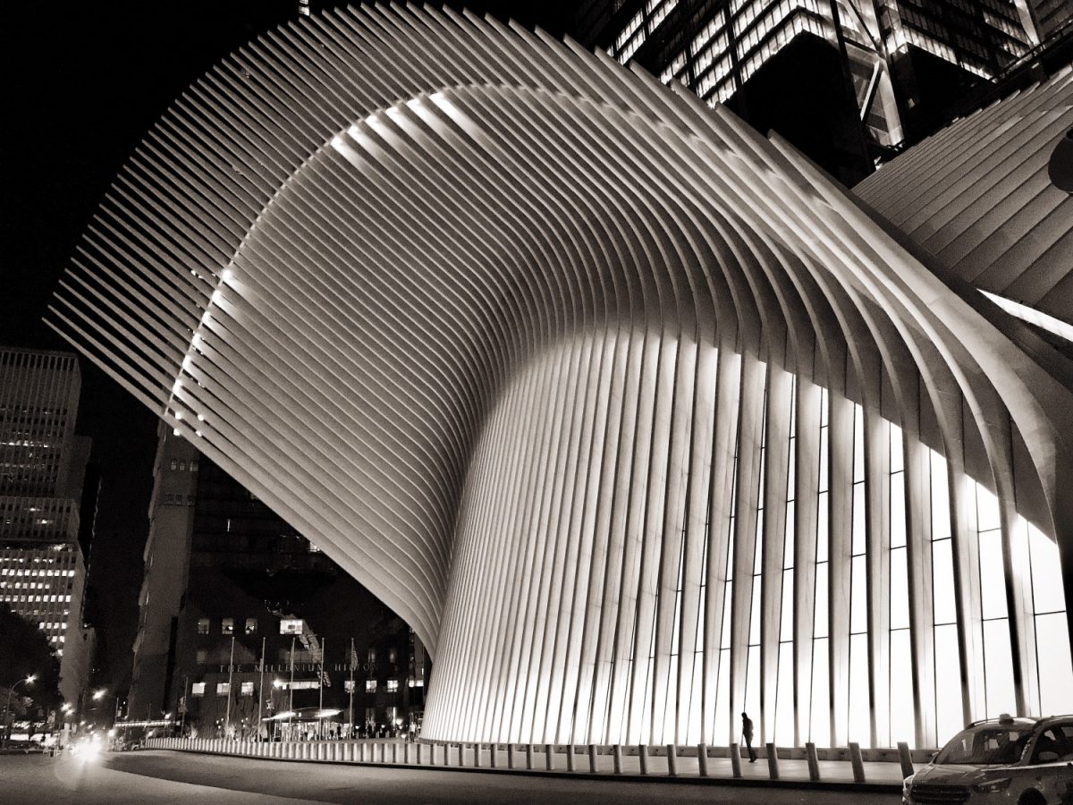 Oculus Ribs | Insta-Ken Gallery and Shop | High Gloss Metal Art Prints