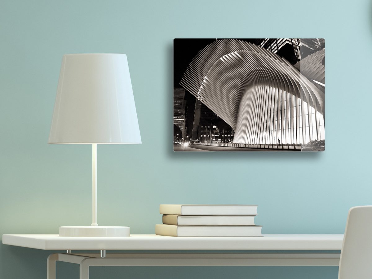 Oculus Ribs | Insta-Ken Gallery and Shop | High Gloss Metal Art Prints