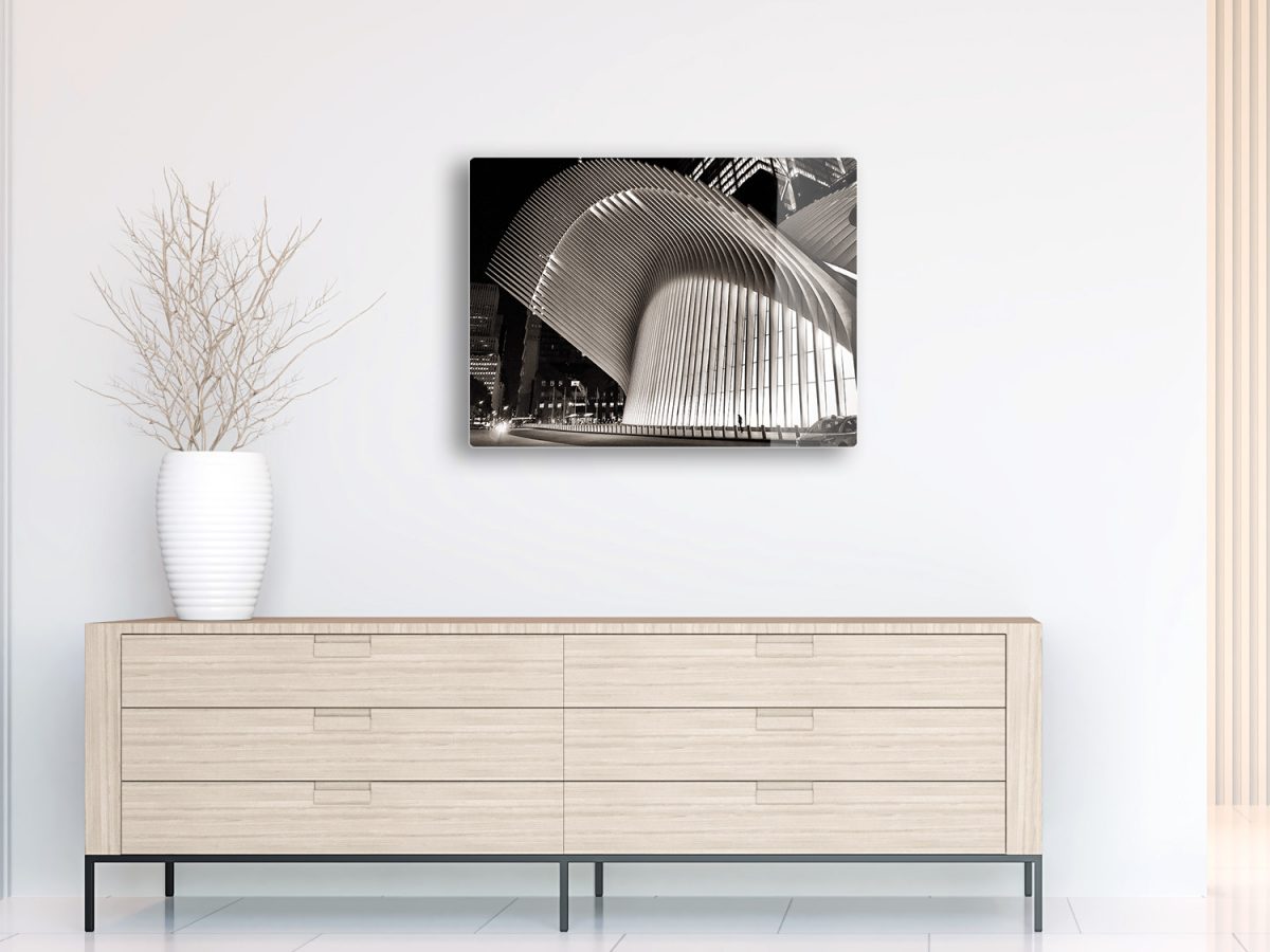 Oculus Ribs | Insta-Ken Gallery and Shop | High Gloss Metal Art Prints